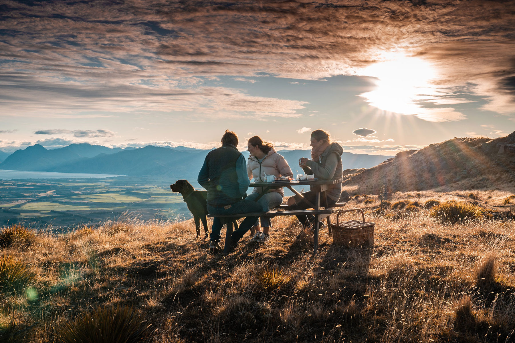Historic Criffel Station Wanaka: The Station's Past & Our Present